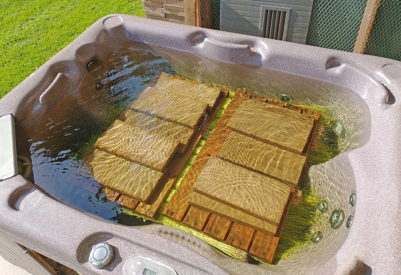 Try Flax Retting 2 Ways: Persuading Flax to Release its Fiber | Spin Off