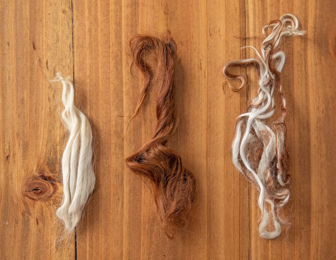 5 Tips for Suri Alpaca and Wool Blends | Spin Off