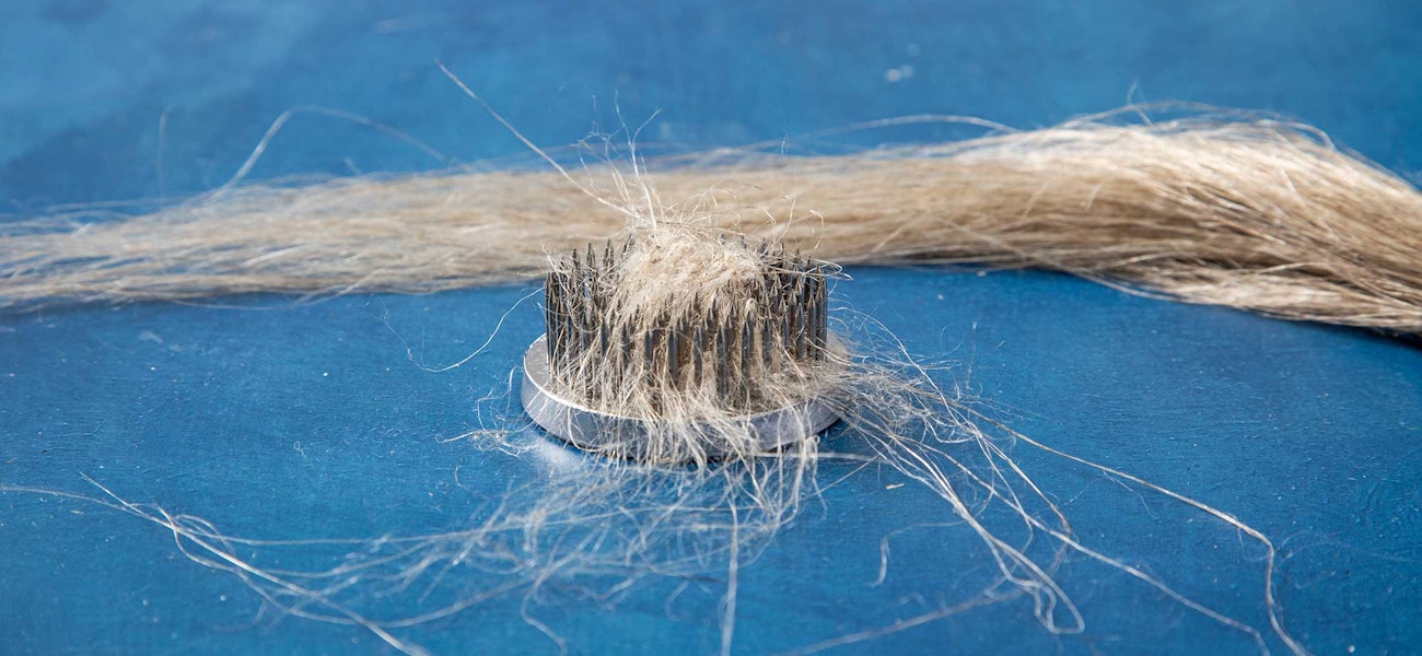 Spin Off Submissions Winter 2025: Natural Fibers Made Modern | Spin Off