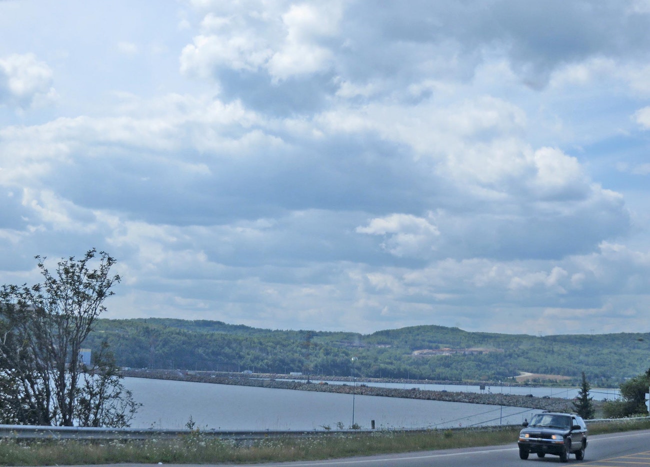 Why Don’t Porcupines Live on Cape Breton Island? | PieceWork