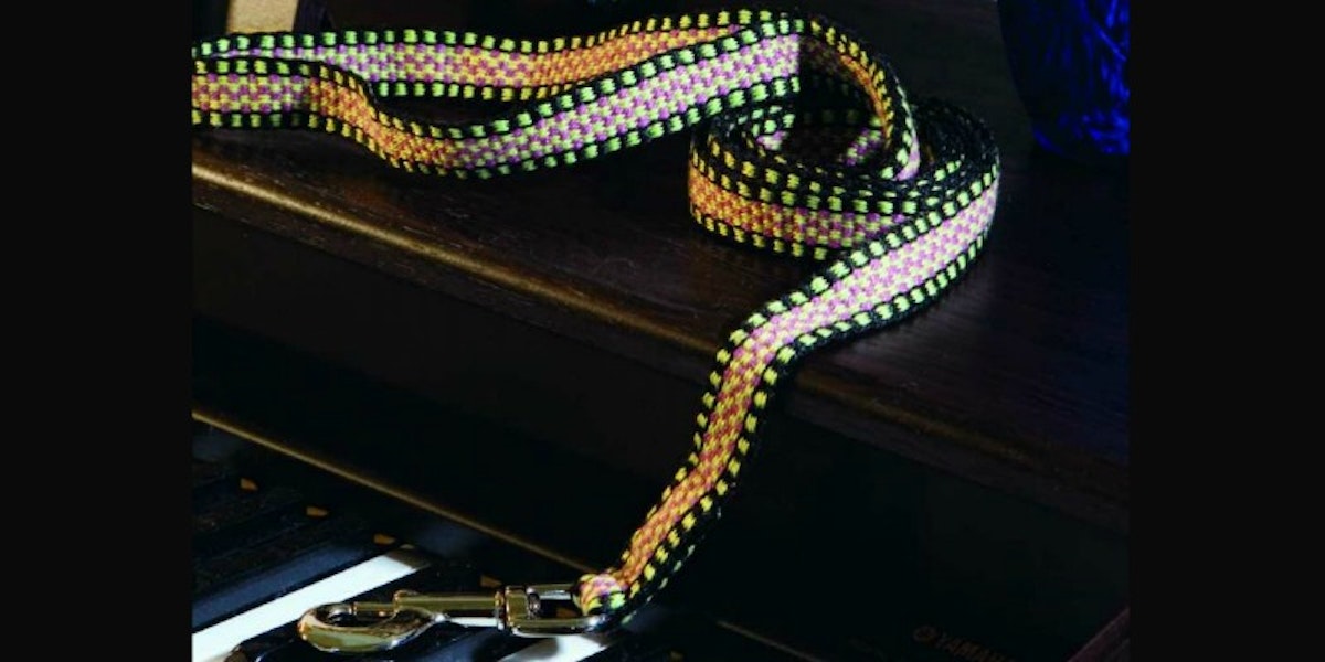 Weaving for Dogs | Handwoven