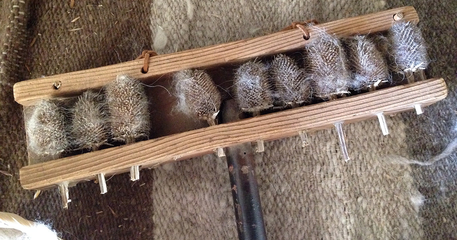 All About the Teasel Hand | Handwoven