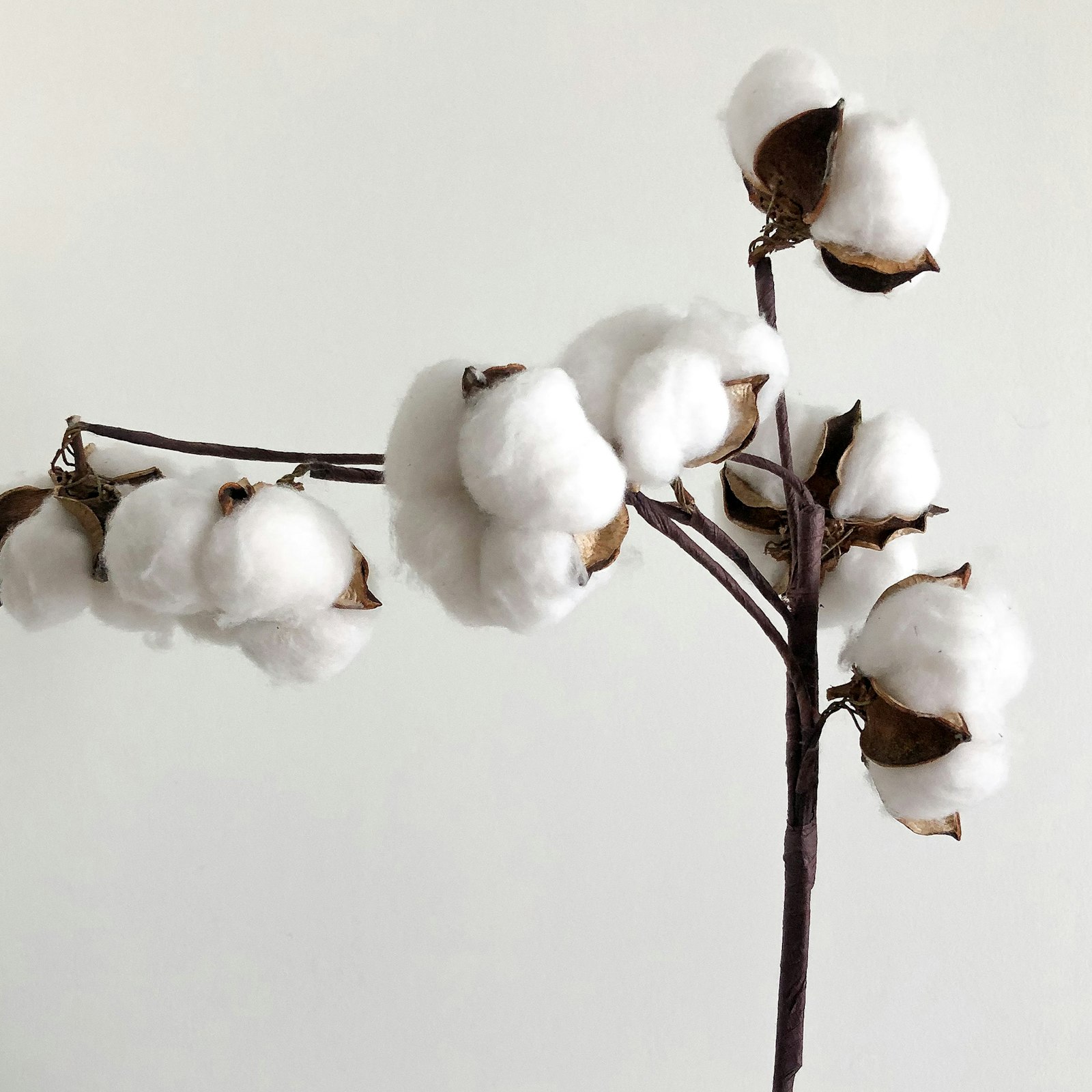 How to Weave with Cotton: Free Cotton-Weaving Projects and Expert Tips ...