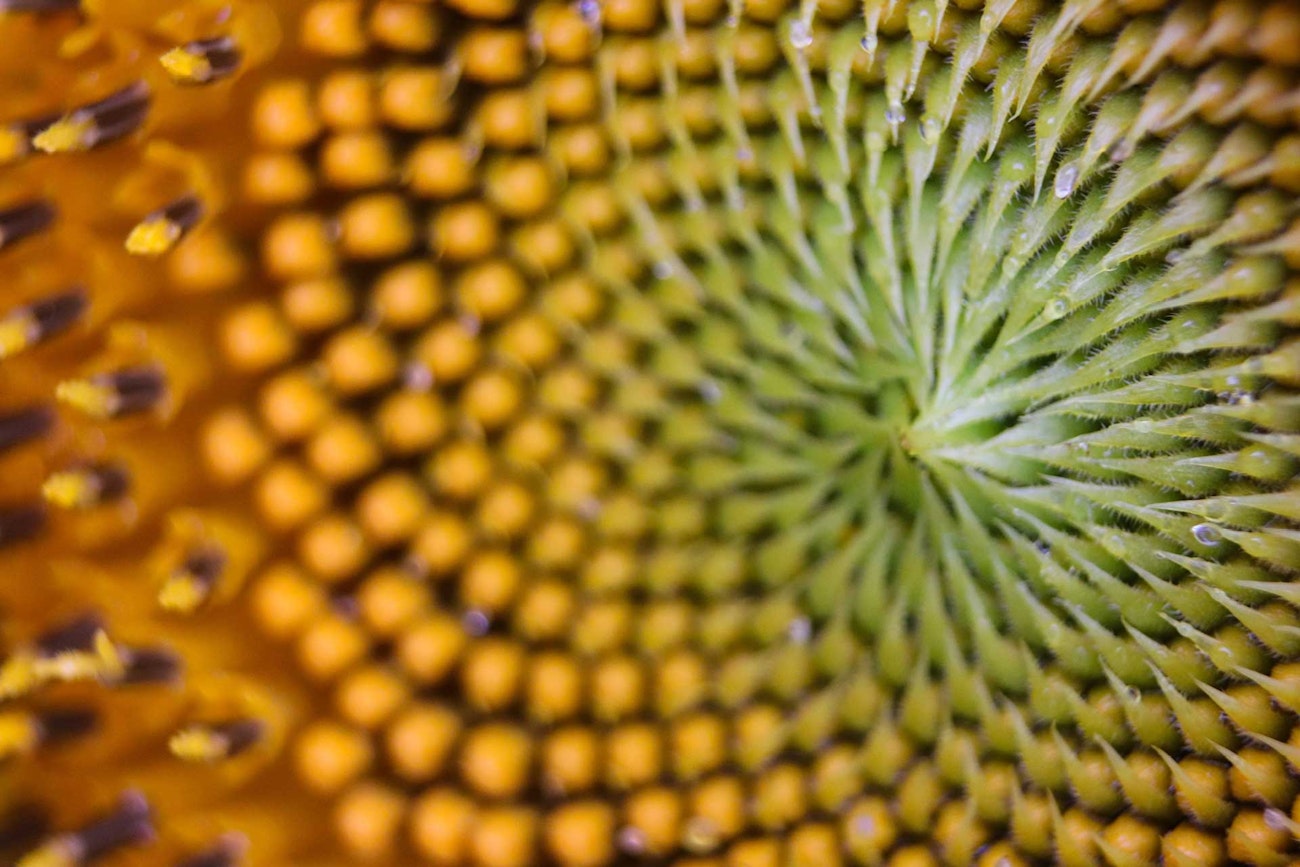 Math By Another Name Is . . . A Tool for Asymmetrical Design! | Handwoven