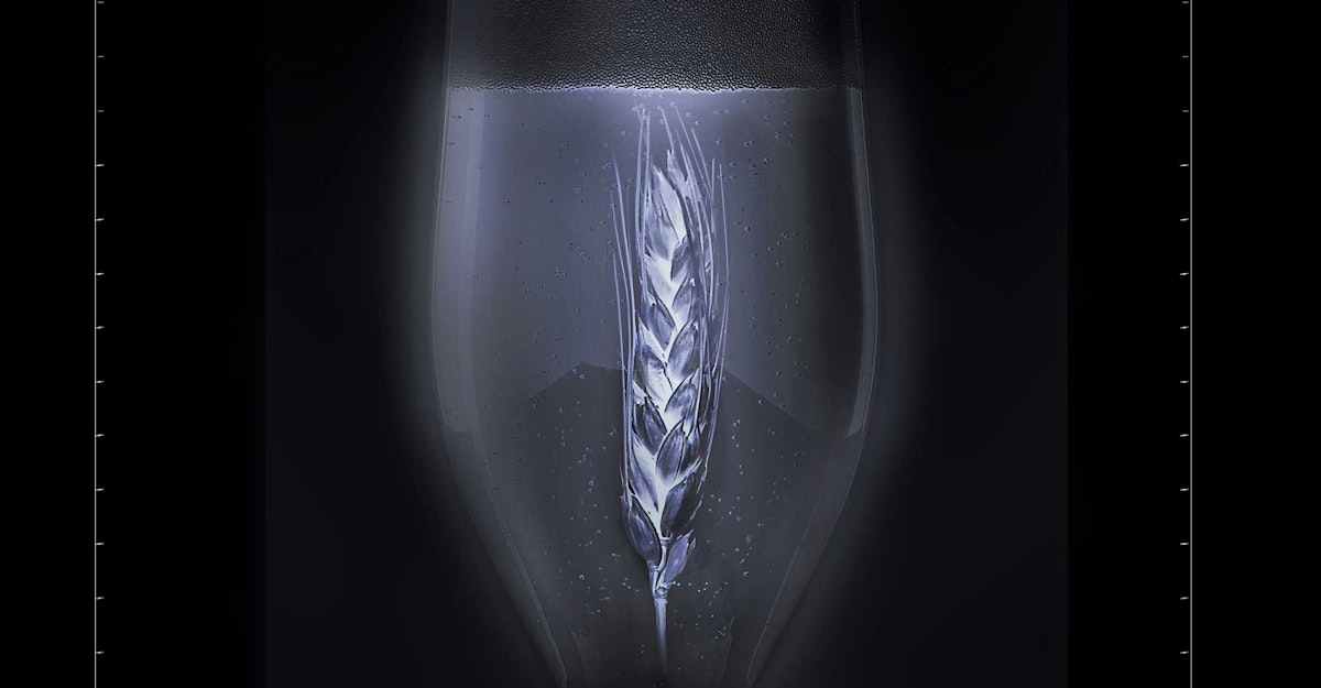 Let’s Demystify Rye | Craft Beer & Brewing