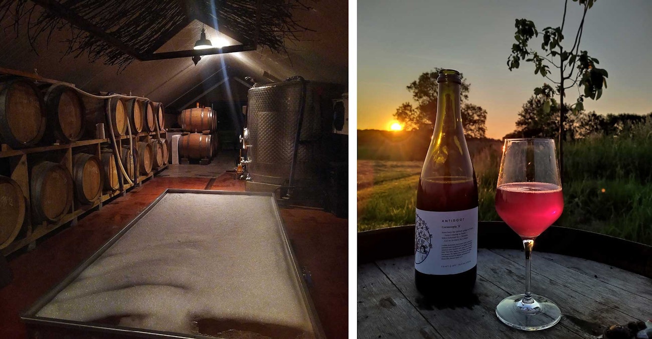 Metamodern Tastes in Country Beer, Part III: Antidoot Wilde Fermenten ...