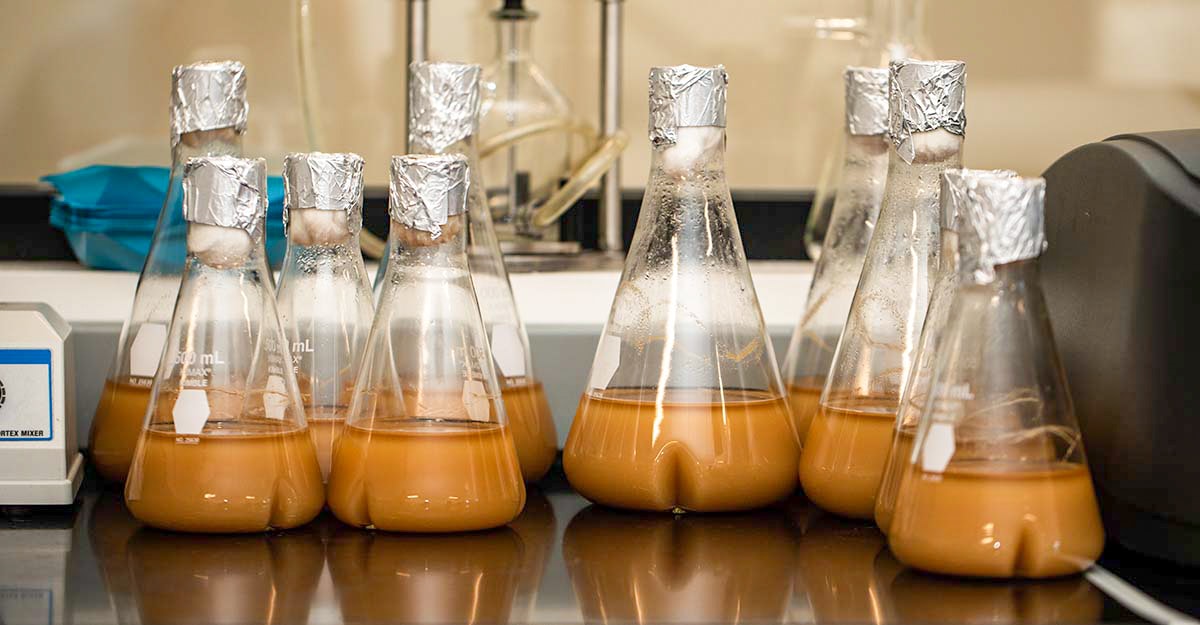 Video Tip: The Benefits of Open Fermentation | Craft Beer & Brewing