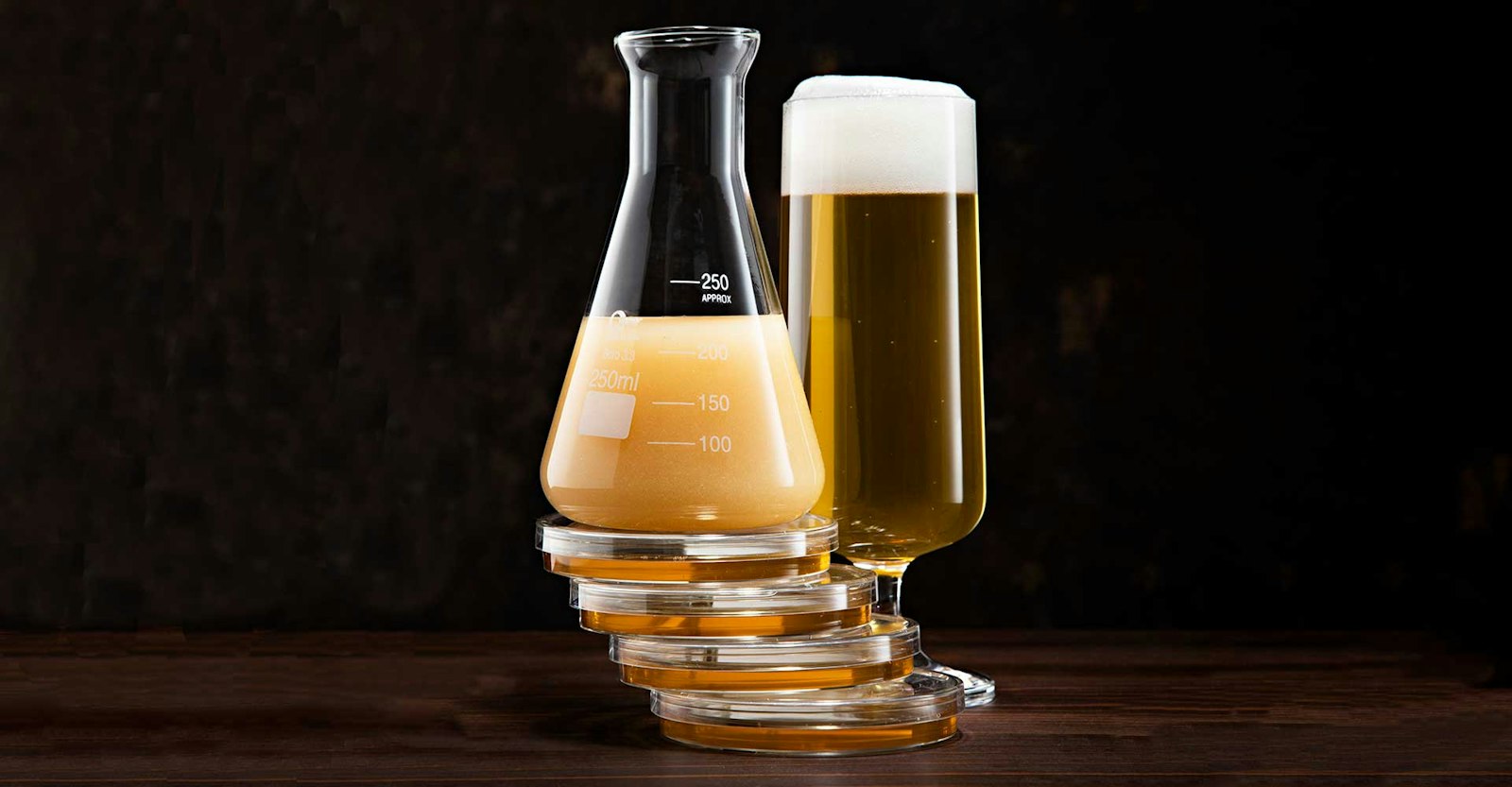 Yeast Fermentation Beer