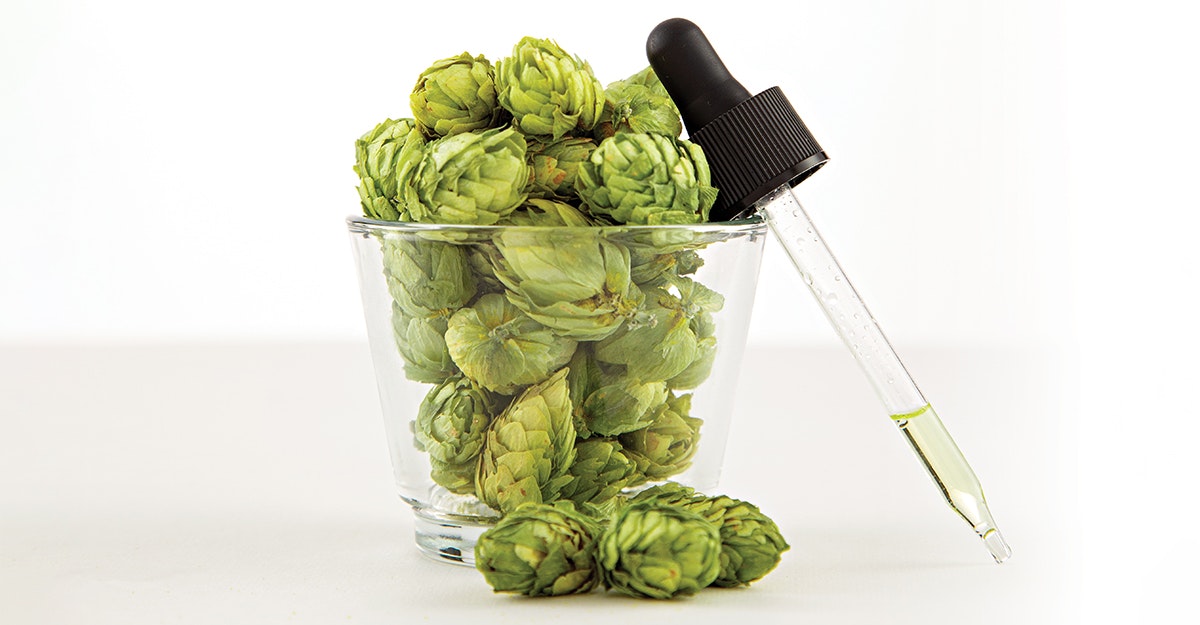 Terpenes: Brewing with the Essence of Hops | Craft Beer & Brewing