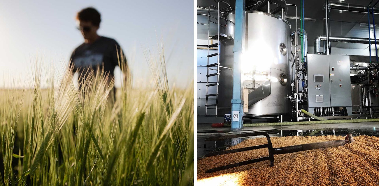 Farming for Craft: New Barley & Malt Varieties Respond to Brewer Demand ...