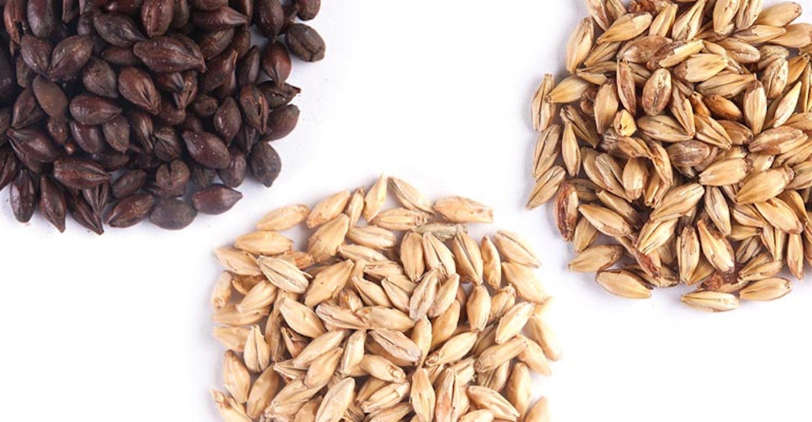 Get to Know Your Malt | Craft Beer & Brewing
