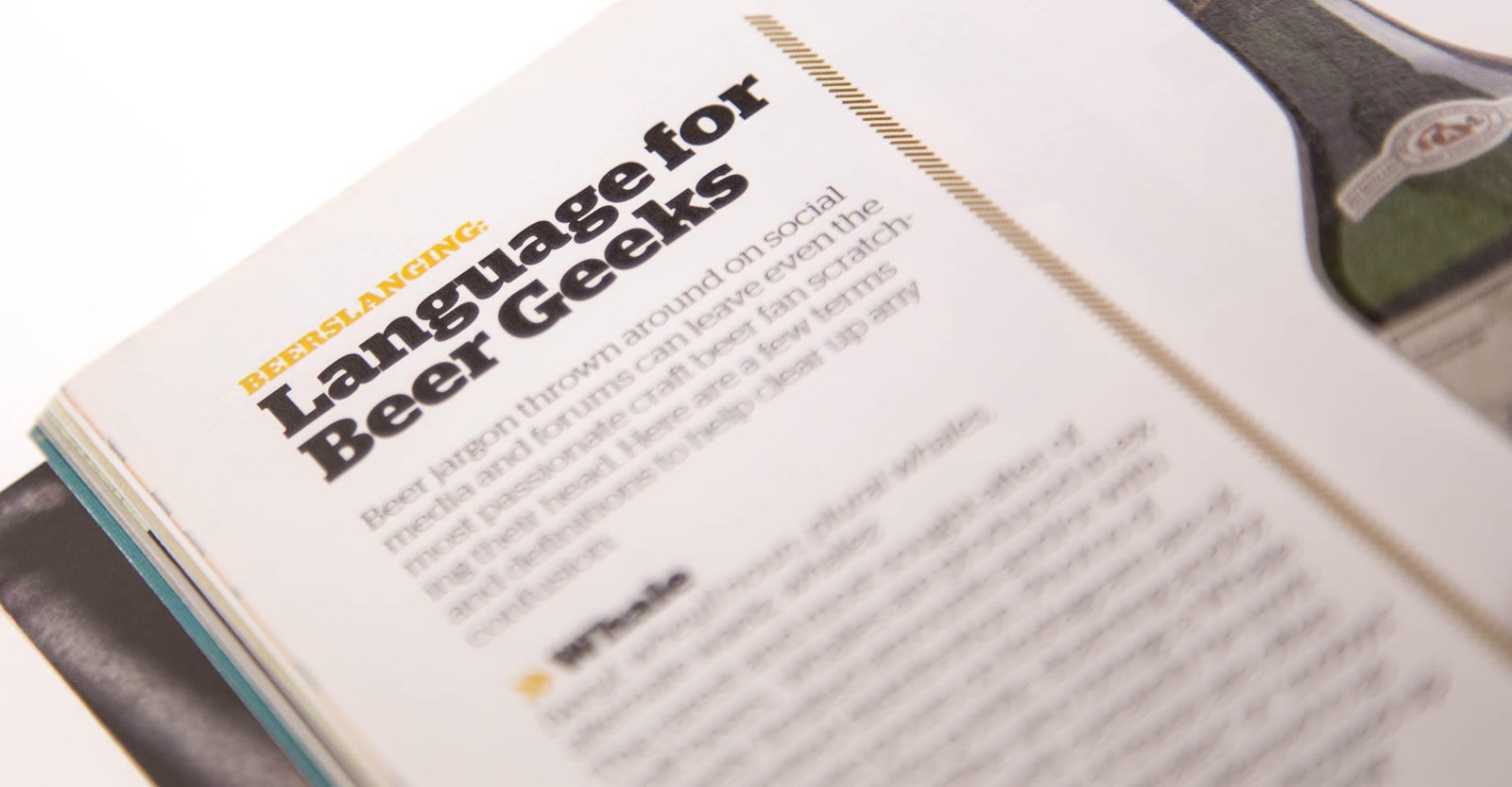 Beerslanging | Craft Beer & Brewing