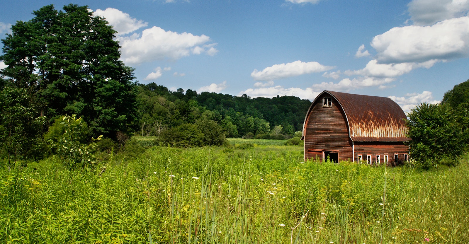8 American Farmhouse Breweries | Craft Beer & Brewing
