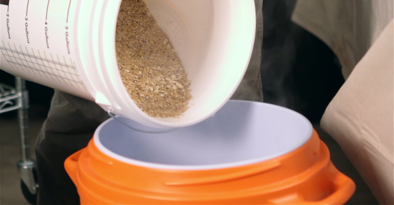 Fun with Enzymes | Craft Beer & Brewing