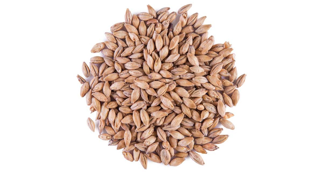 Editors' Picks: New Drinking Doodads, Base Malt, and Hand-Picked ...