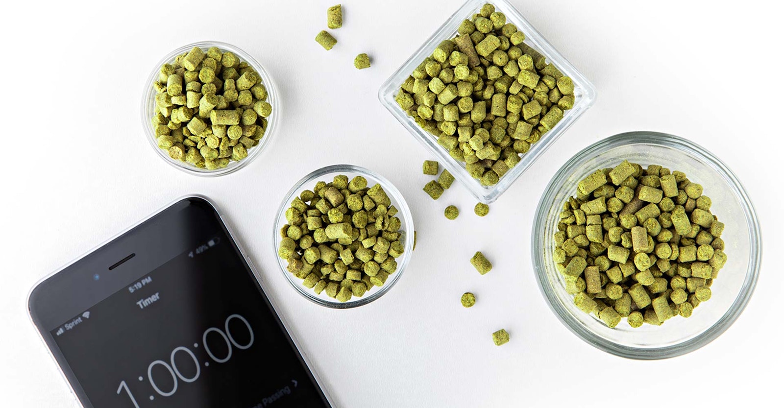 Learning Lab: Standard Hops Additions | Craft Beer & Brewing