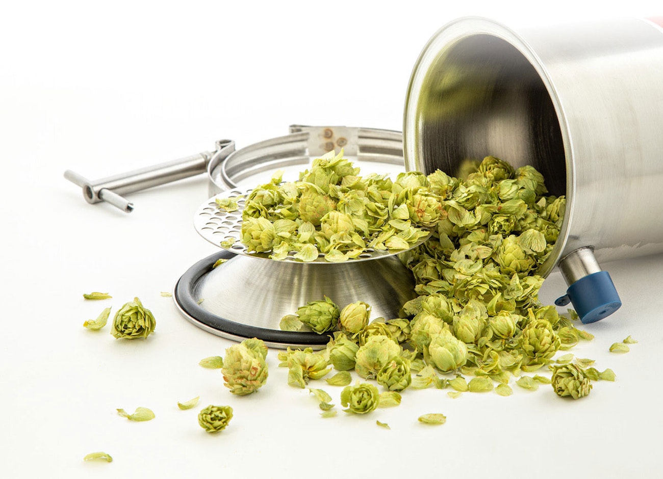 Learning Lab: More Ways to Get Hoppy | Craft Beer & Brewing