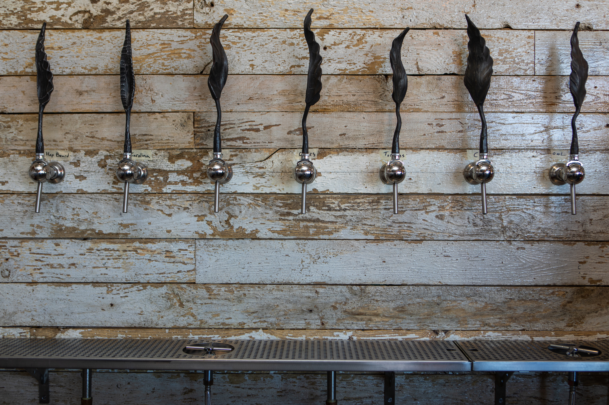 How to Store and What to Look for With Aged Hops (Video Tip) | Craft ...