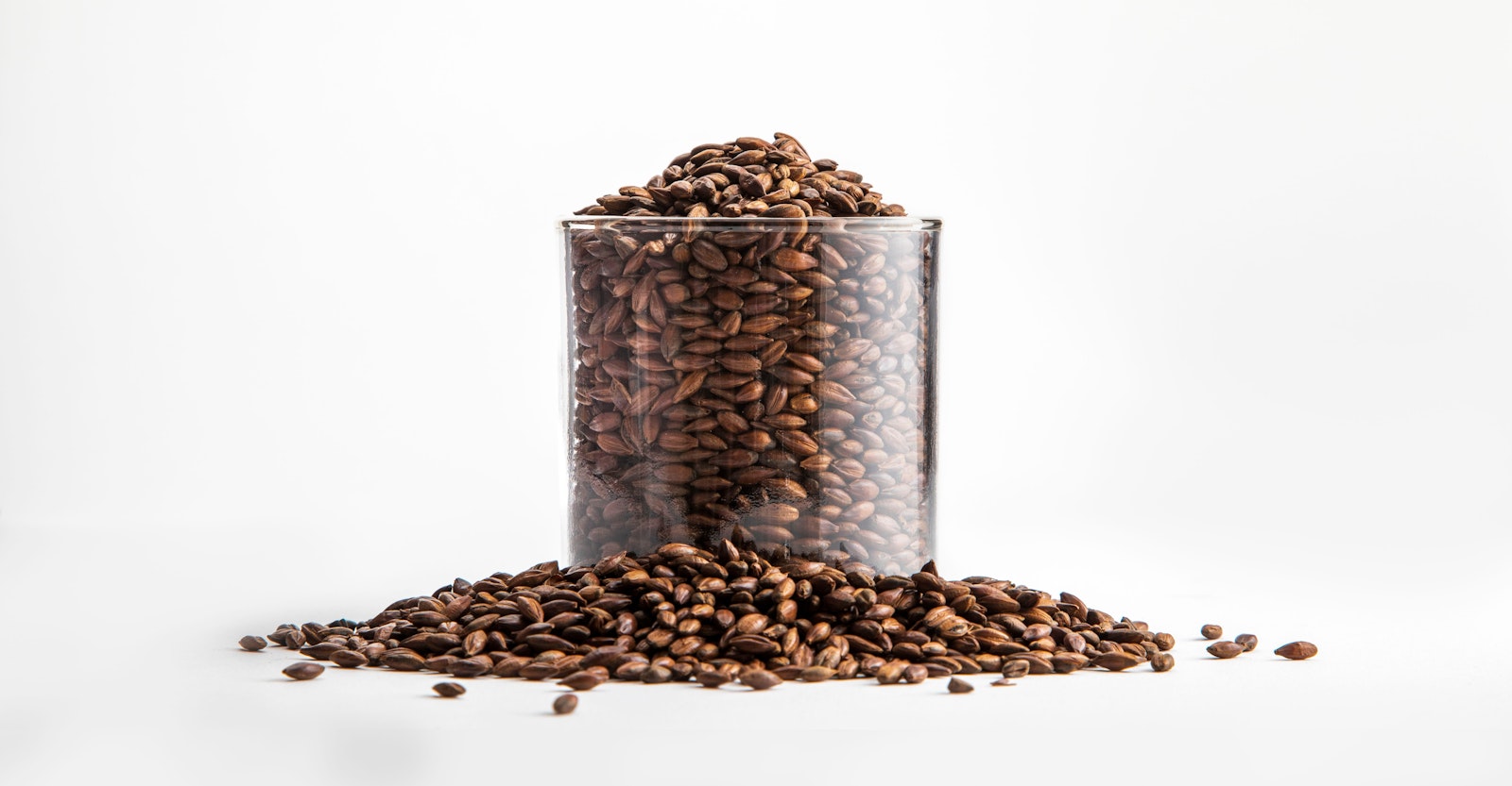 The Heart of Darkness: Exploring Dark Malts | Craft Beer & Brewing