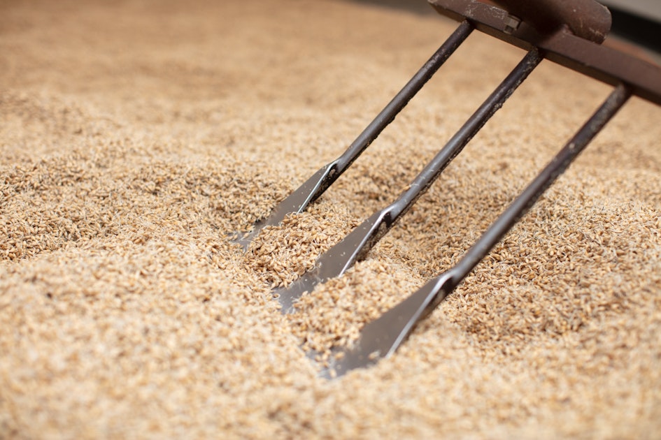 Video Tip: Avoiding Over-Modified Malt | Craft Beer & Brewing