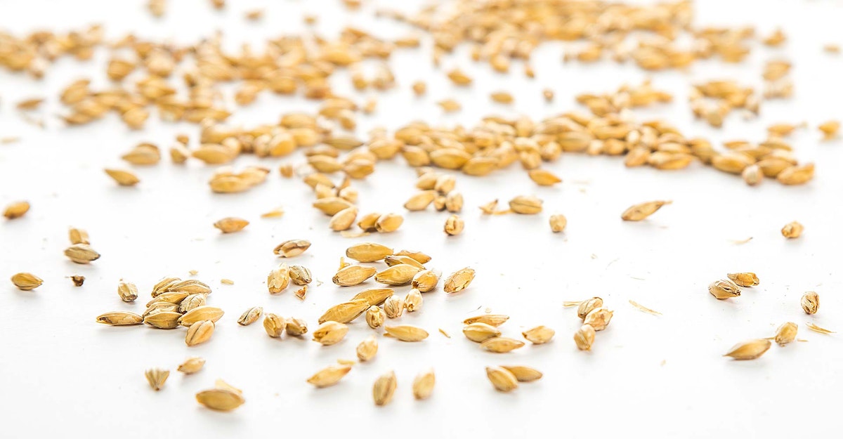 Exploring Scottish Beers from Shillings to Wee Heavy | Craft Beer & Brewing