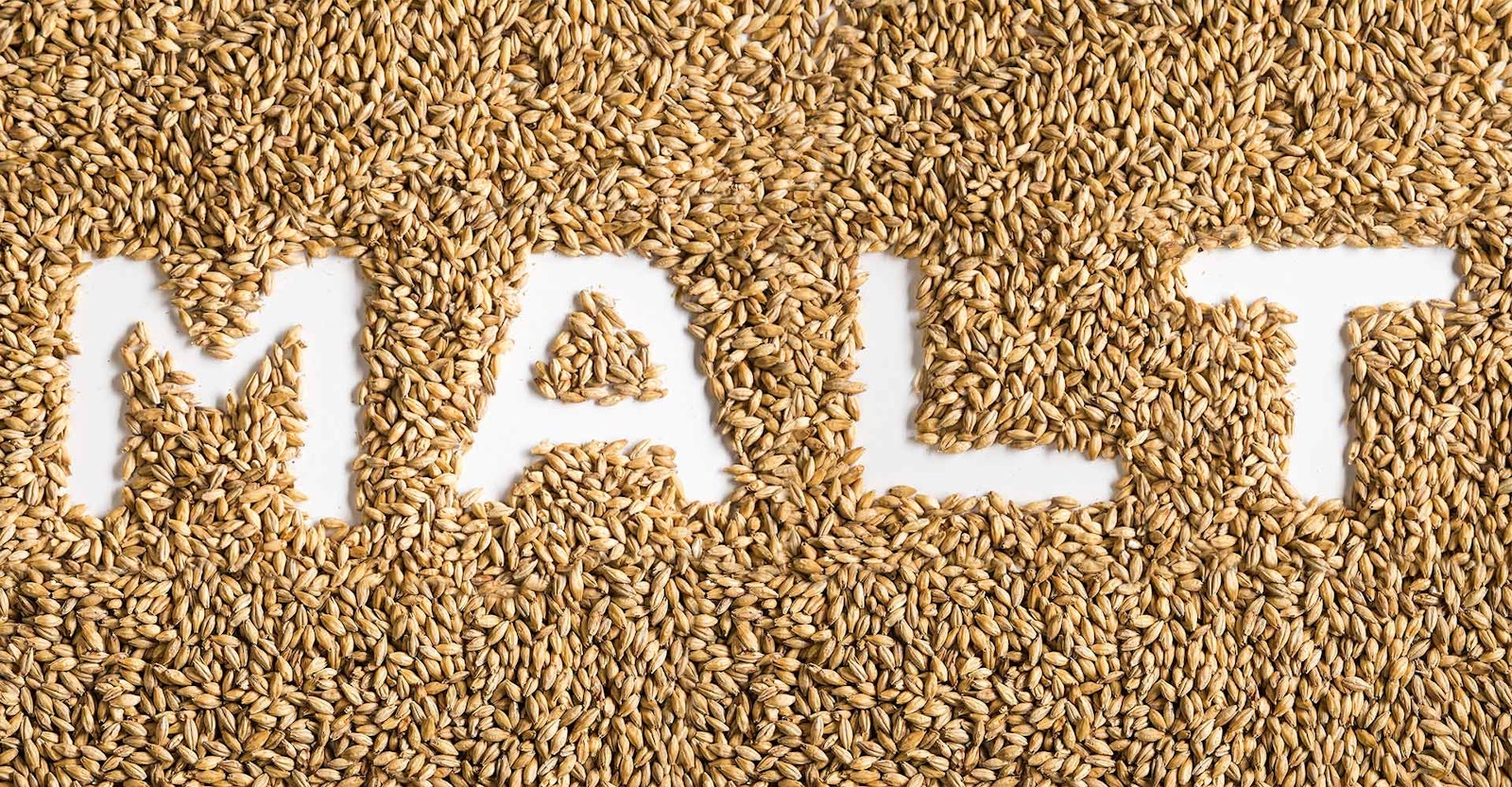 The Malt In Your Beer Offers More Than Just Flavor | Craft Beer & Brewing