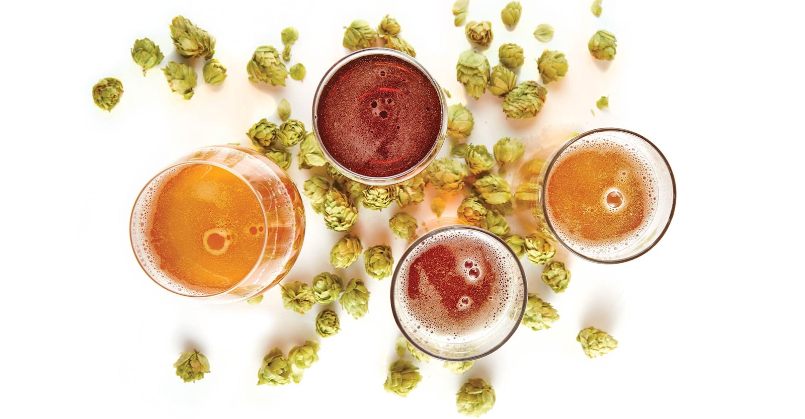 Hops and Lagers | Craft Beer & Brewing