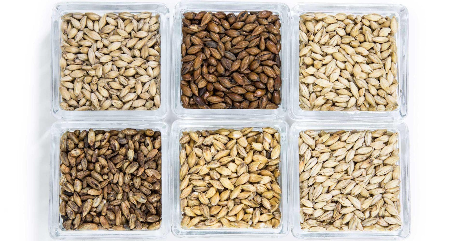 Malt: The Soul of Beer | Craft Beer & Brewing