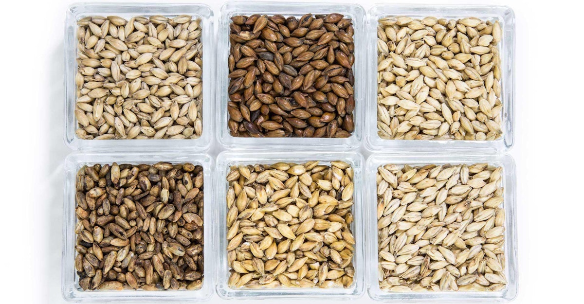Malt: The Soul of Beer | Craft Beer & Brewing