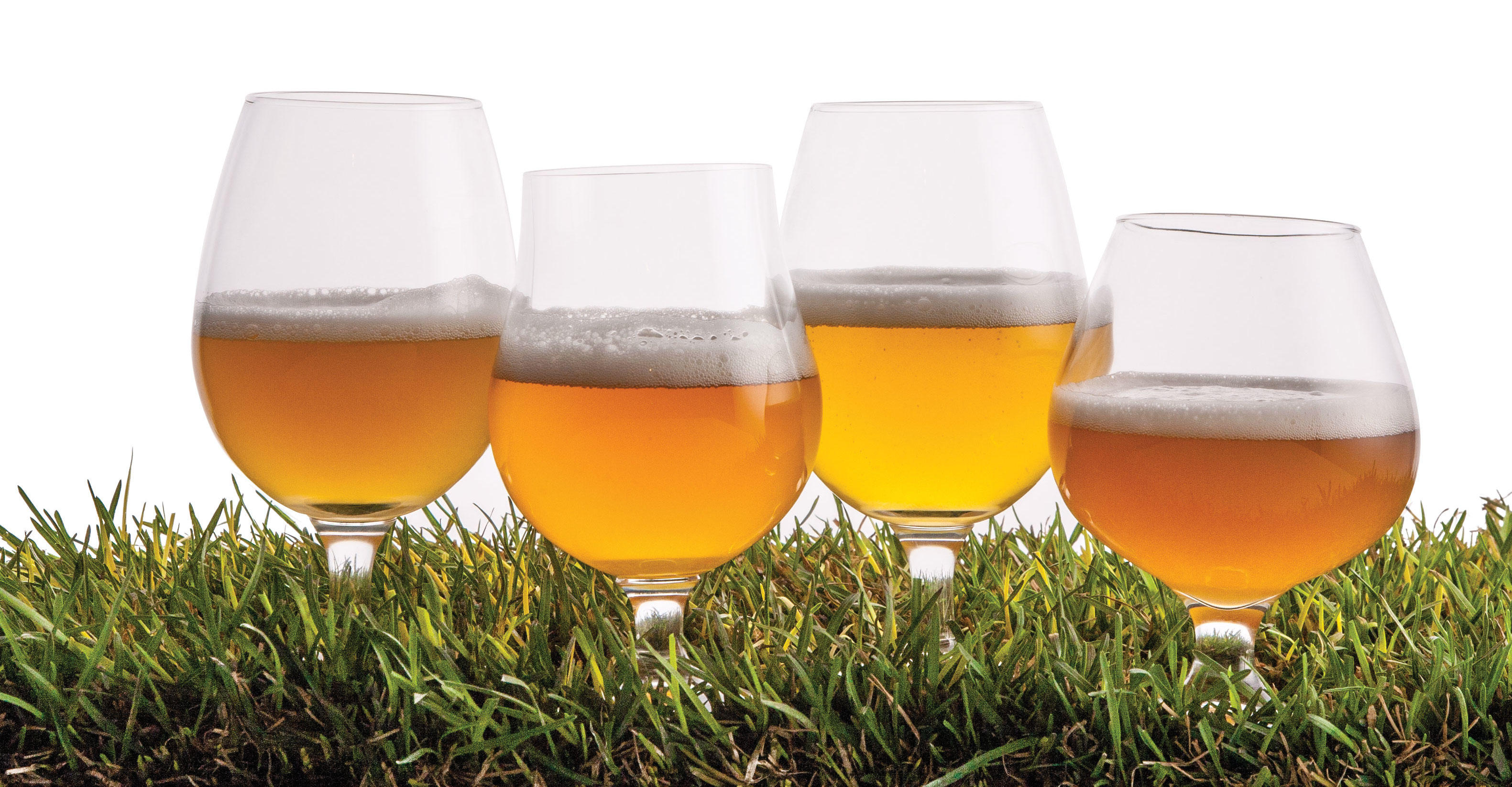 What Makes a Saison a Saison? | Craft Beer & Brewing