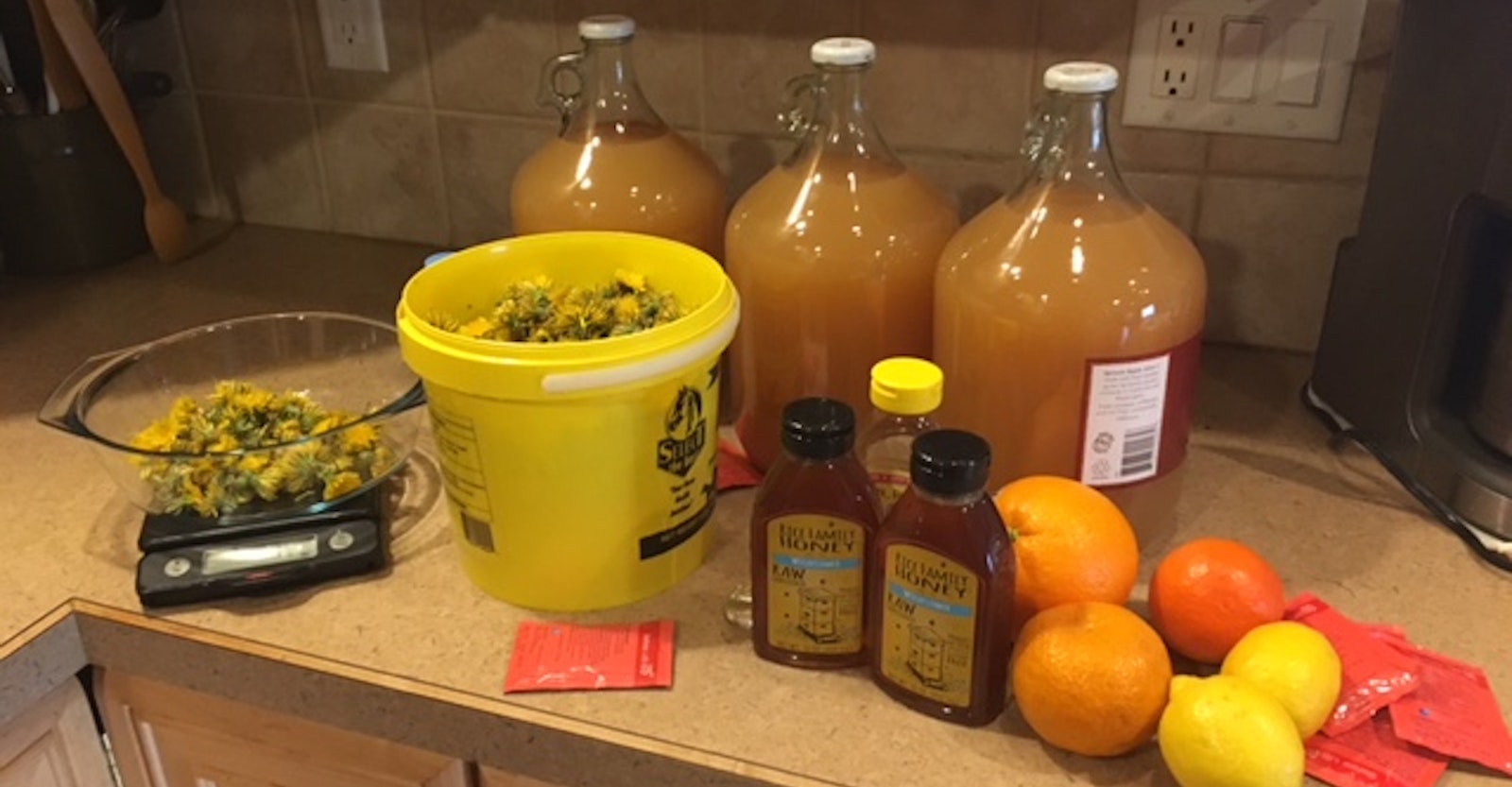 Dandelion Beer Recipe