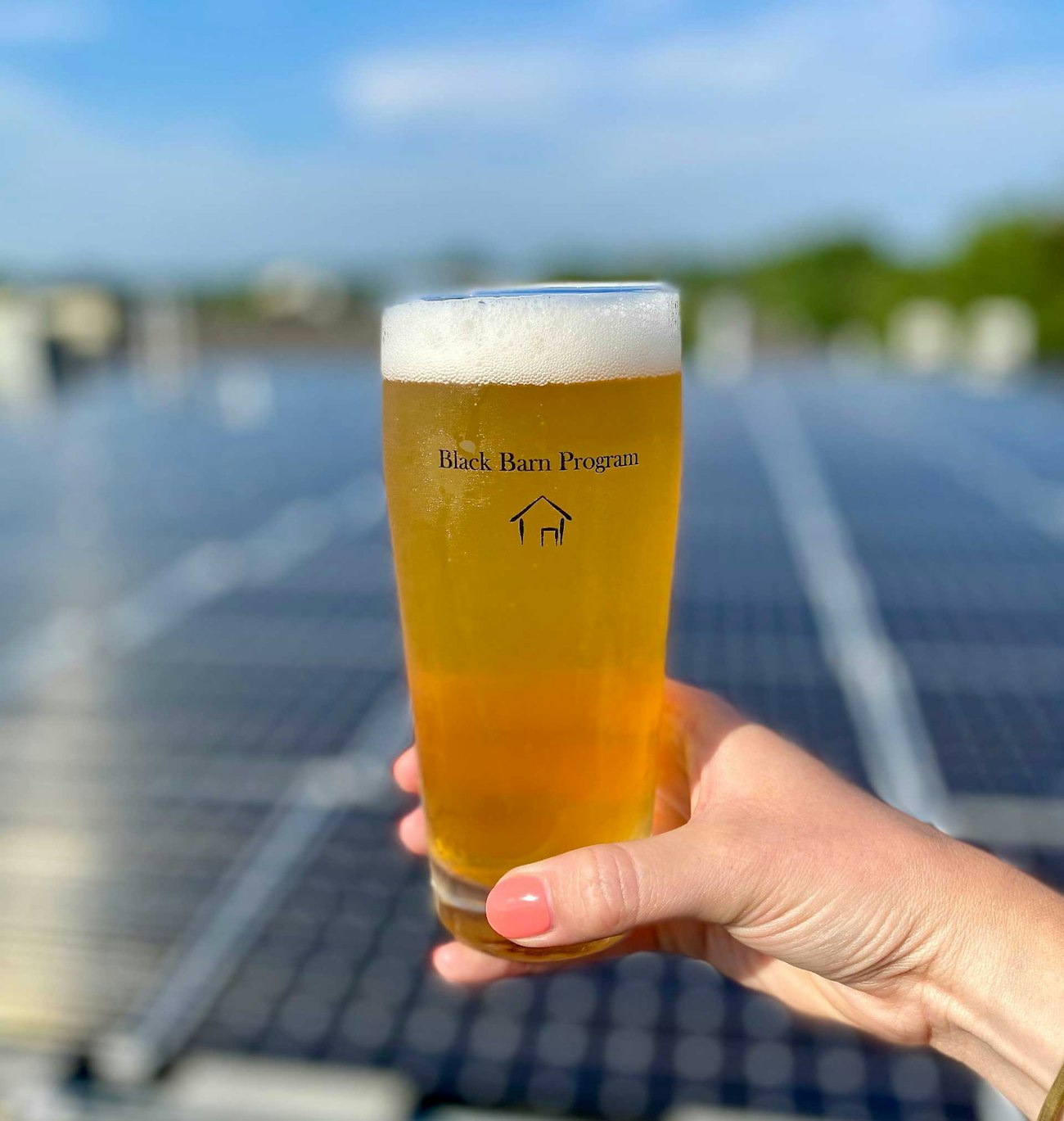 Maine Beer Company Is Powered by the Sun | Craft Beer & Brewing