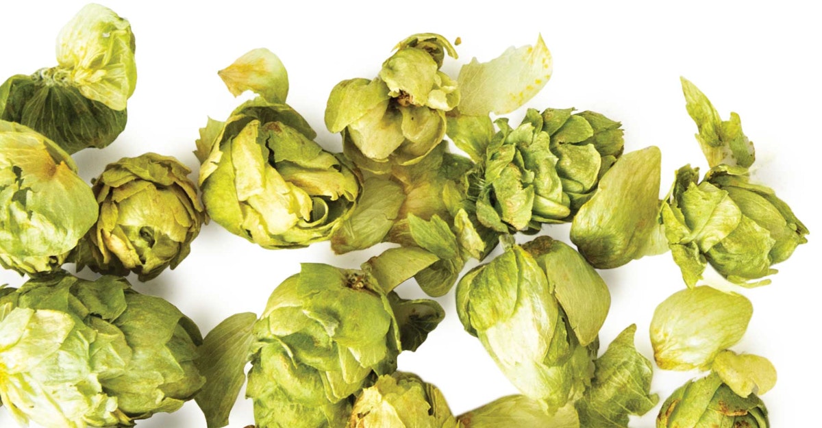 Rethinking Dry Hops: Quicker, Colder … and Better? | Craft Beer & Brewing