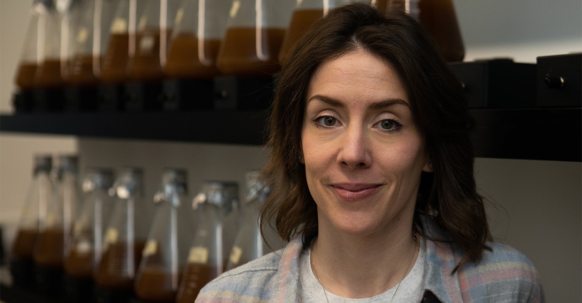 Video Tip: Giving Thiols a Boost with Mash-Hopping and Malt Selection ...