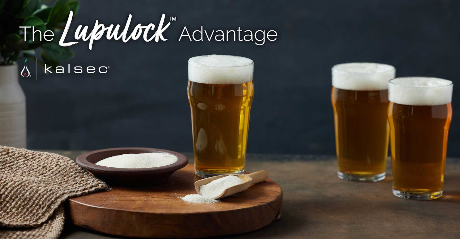 The Lupulock Advantage, Crafted by Kalsec | Craft Beer & Brewing