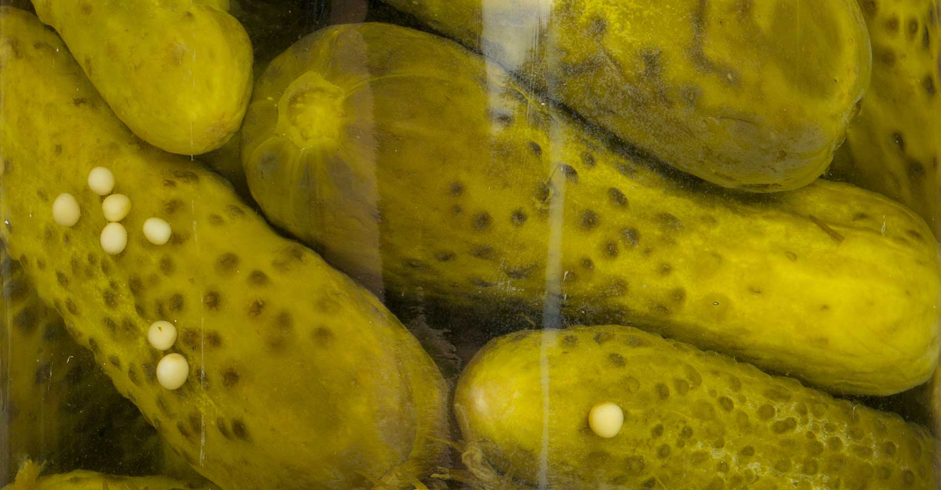 Special Ingredient: Pickle Juice | Craft Beer & Brewing