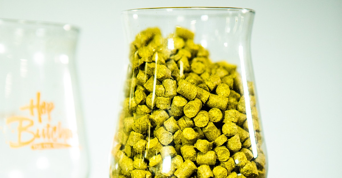 Video Tip: Augmenting Your Hops for the Aromas You Cherish | Craft Beer ...