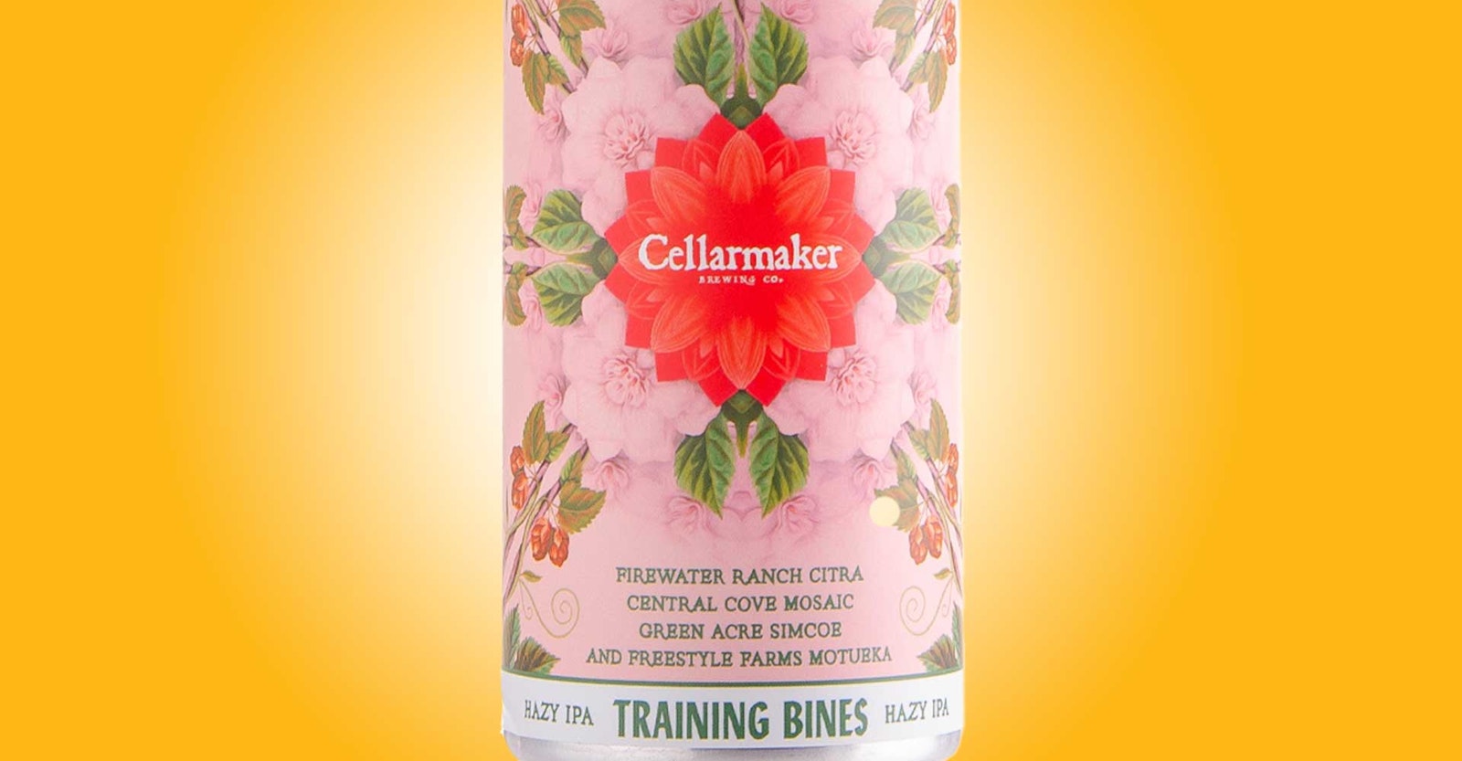 Recipe: Training Bines Hazy IPA | Craft Beer & Brewing