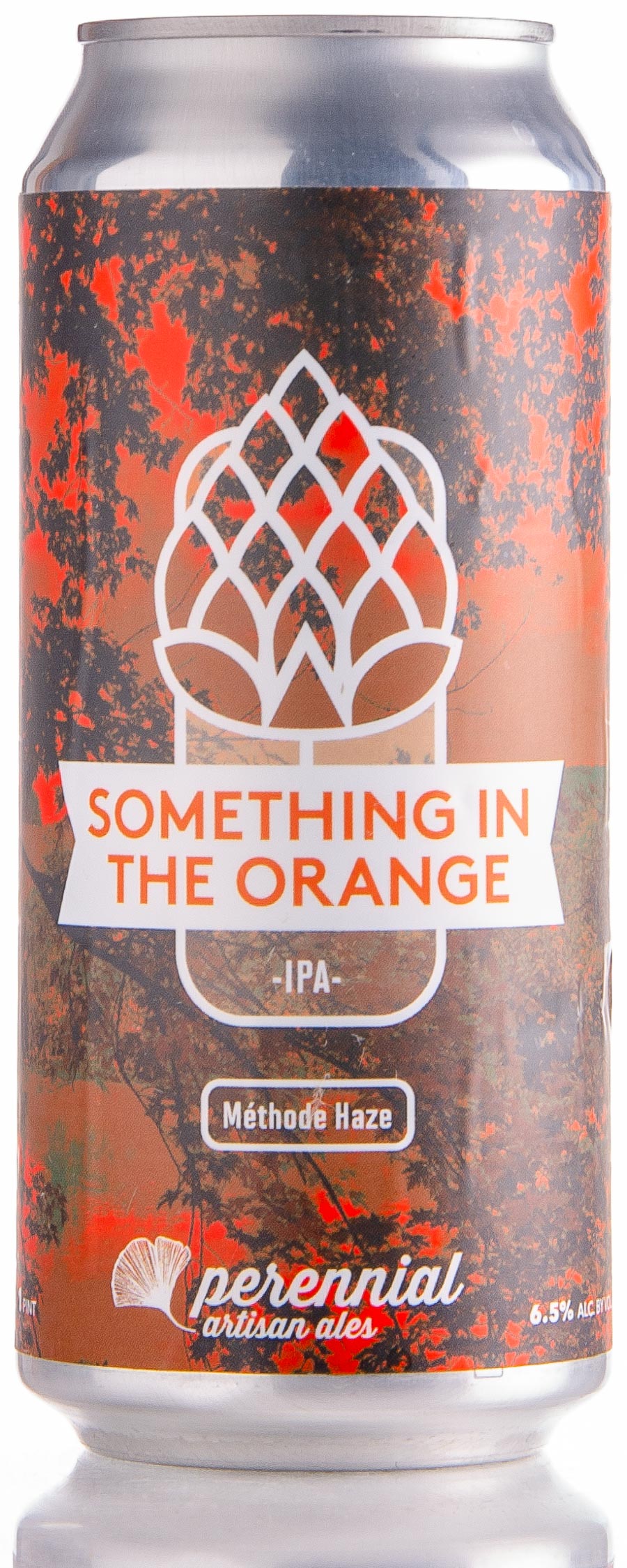 Review: Something in the Orange | Perennial Artisan Ales | Craft Beer ...