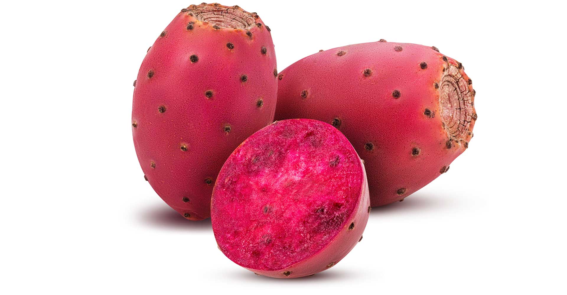 Special Ingredient: Prickly Pear | Craft Beer & Brewing