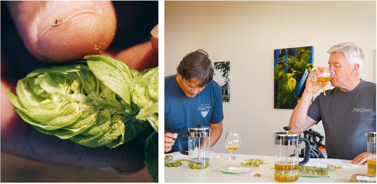 Drawing More Consumers with a Twist on Tradition | Craft Beer & Brewing