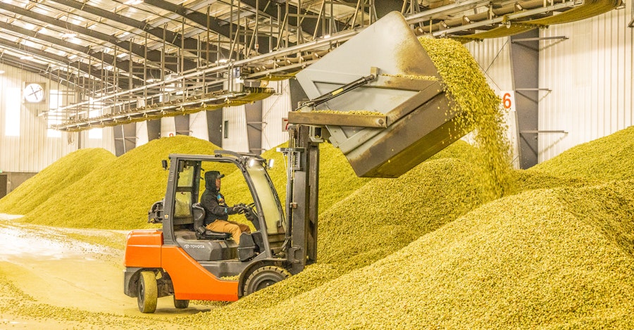 Podcast | Craft Beer & Brewing