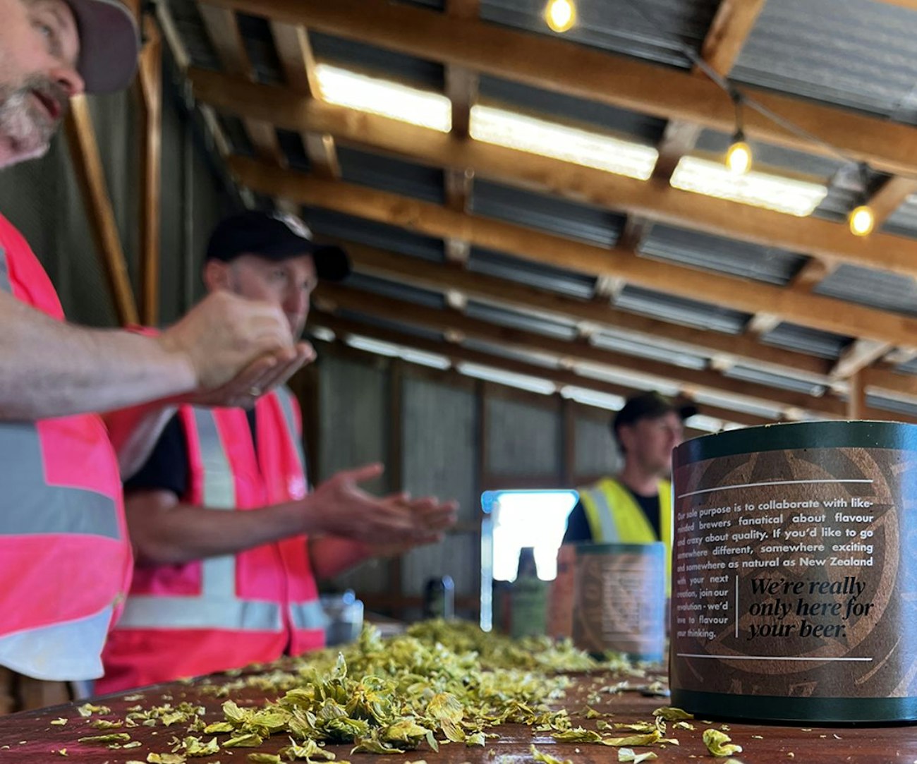 Hop Revolution: Challenging Conventional Thinking on Nelson Sauvin and ...