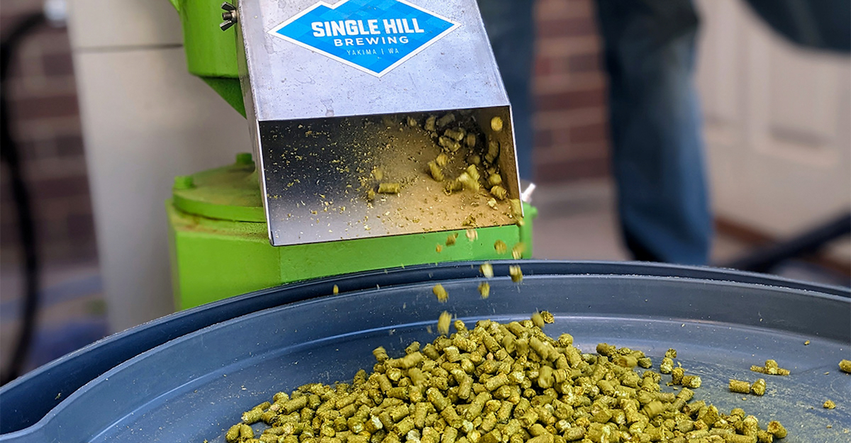 Video Tip: How a Fresh-Hopped Beer Comes Together at Single Hill ...