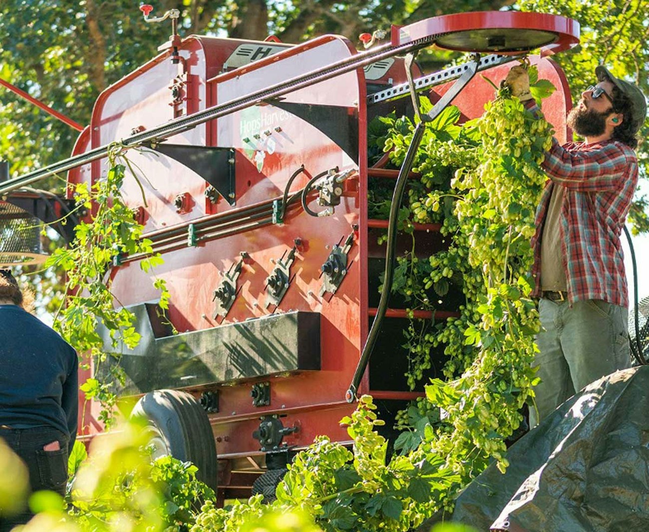 In Pursuit of Hop Magic to Broaden the Reach of Craft | Craft Beer ...