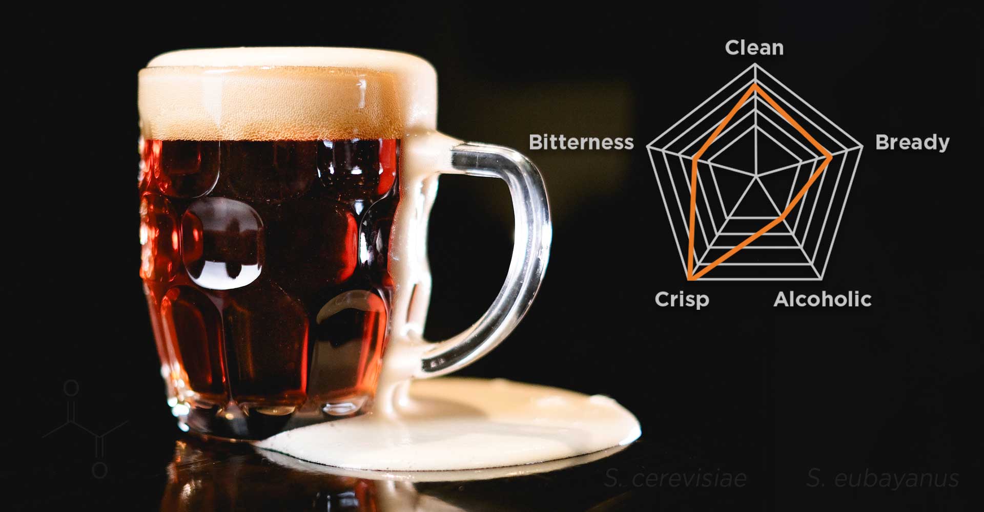 Yeast: An Unsung Hero | Craft Beer & Brewing