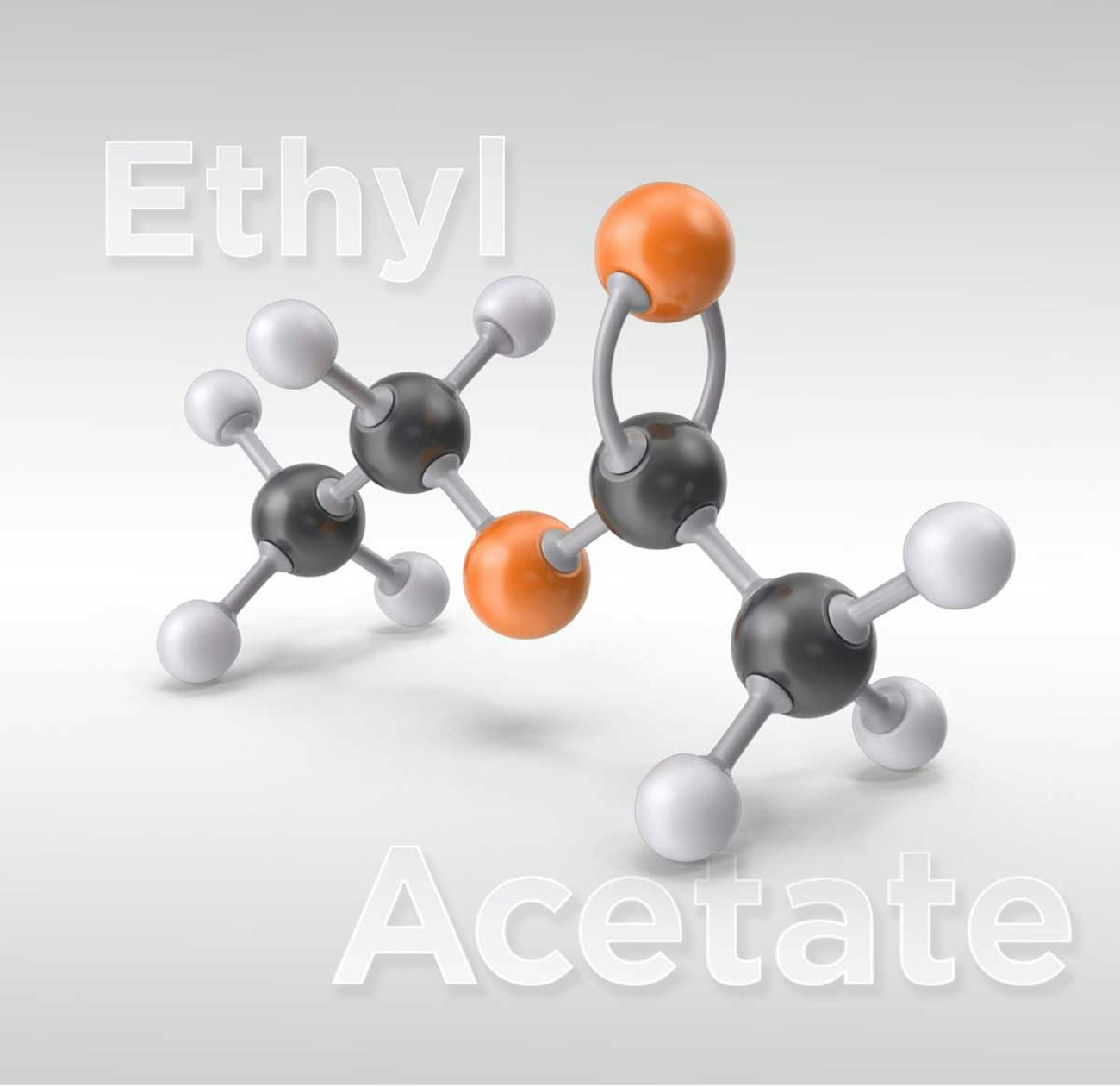 Yeast: An Unsung Hero | Craft Beer & Brewing