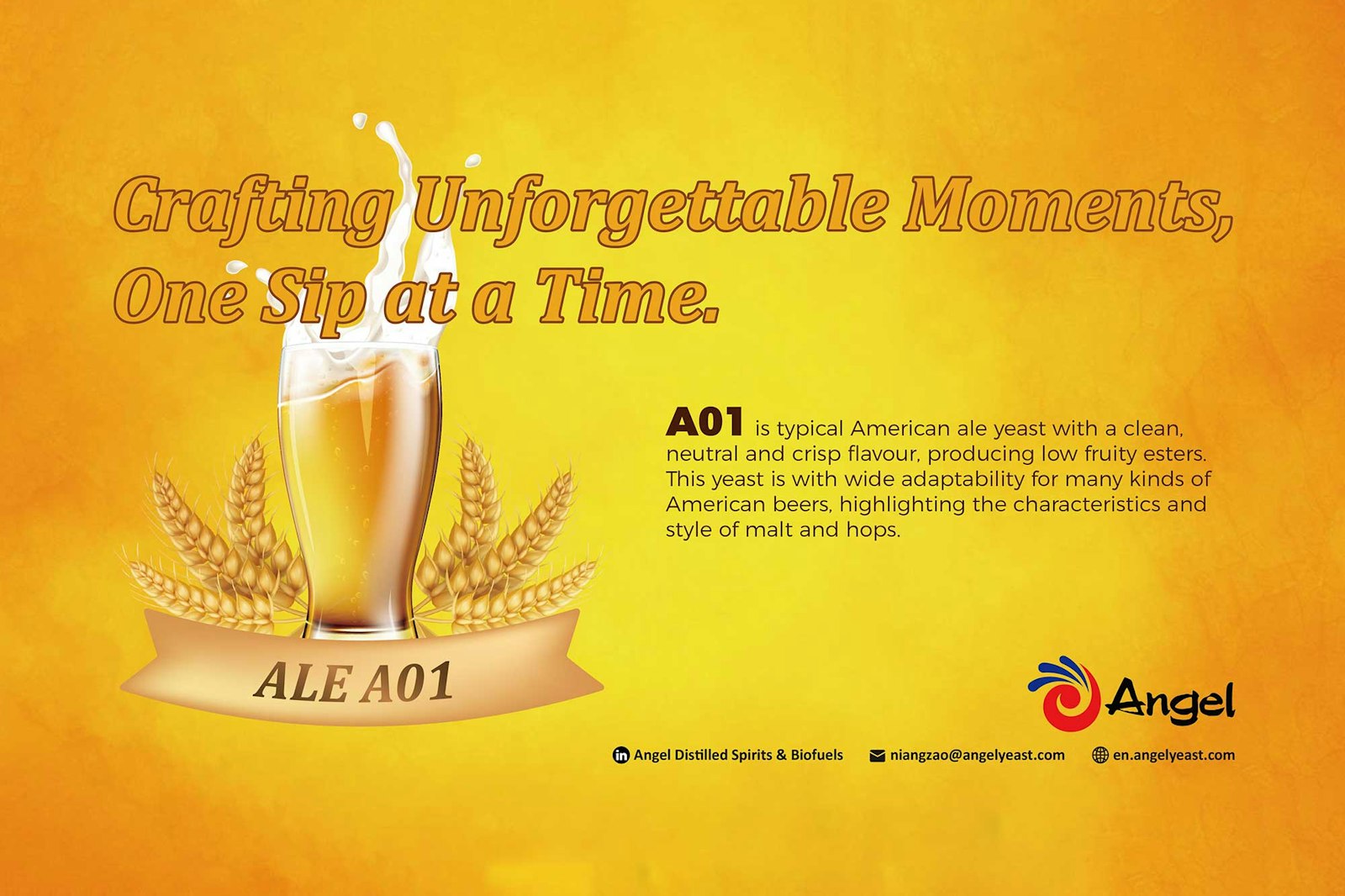 Celebrate American Ales | Craft Beer & Brewing