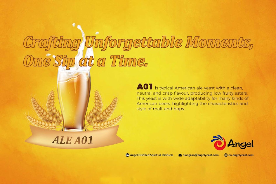 Celebrate American Ales Craft Beer And Brewing