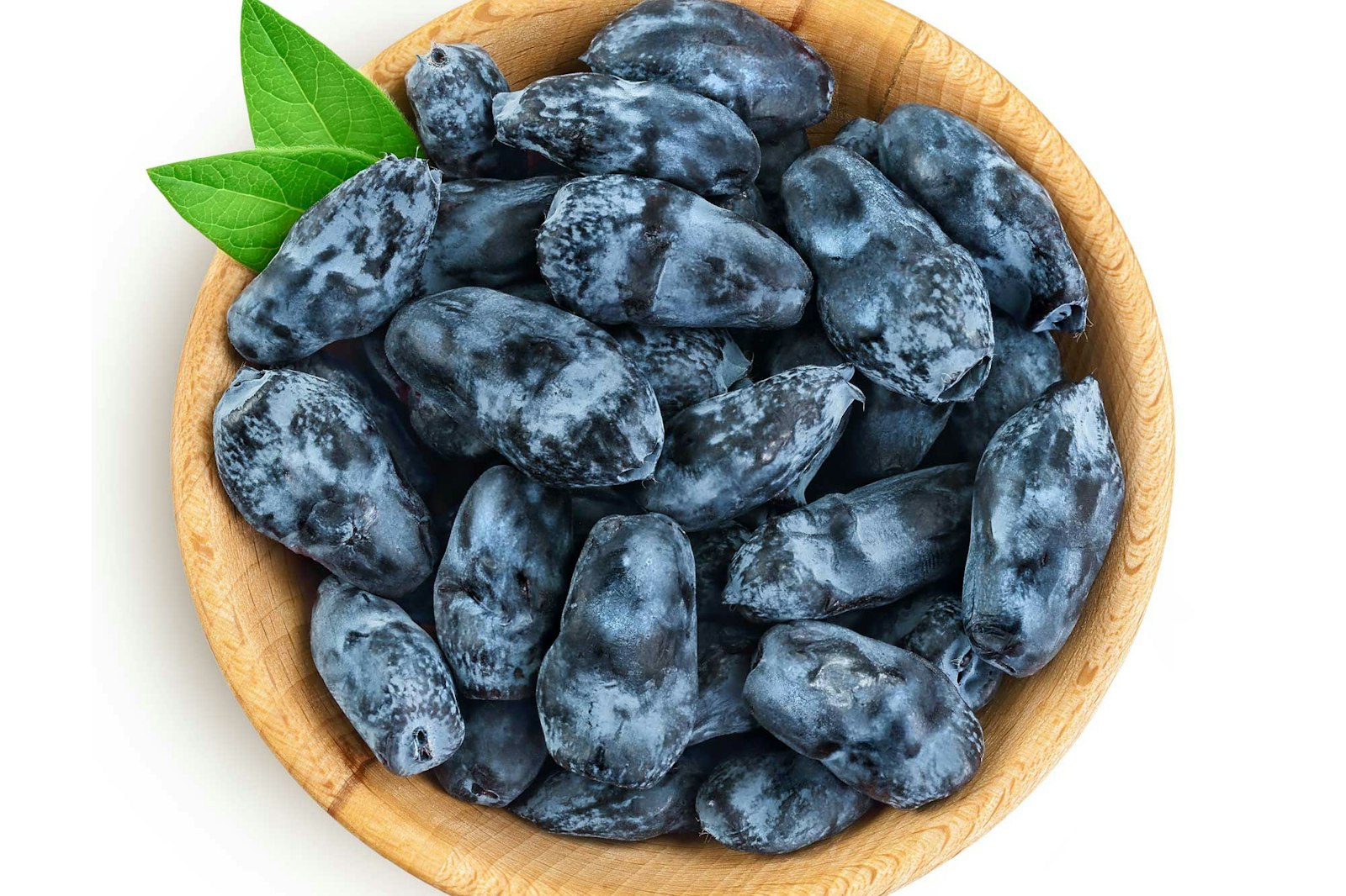 Special Ingredient: Haskap | Craft Beer & Brewing